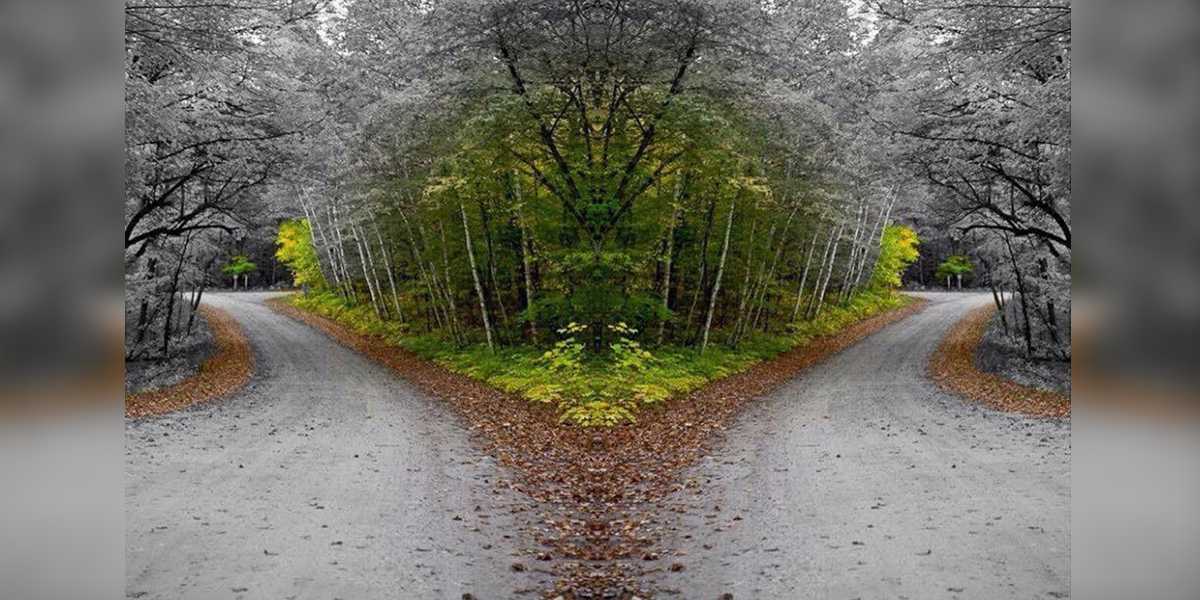 İsmail Aleyhisselam - Süleymaniye Vakfı